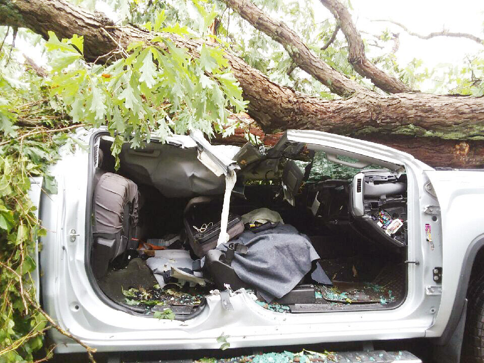 Motorists escape injury after trees fall on vehicles in North Strabane ...